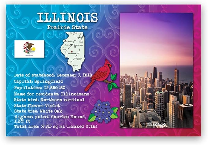 Amazon.com : ILLINOIS STATE FACTS postcard set of 20 identical ...