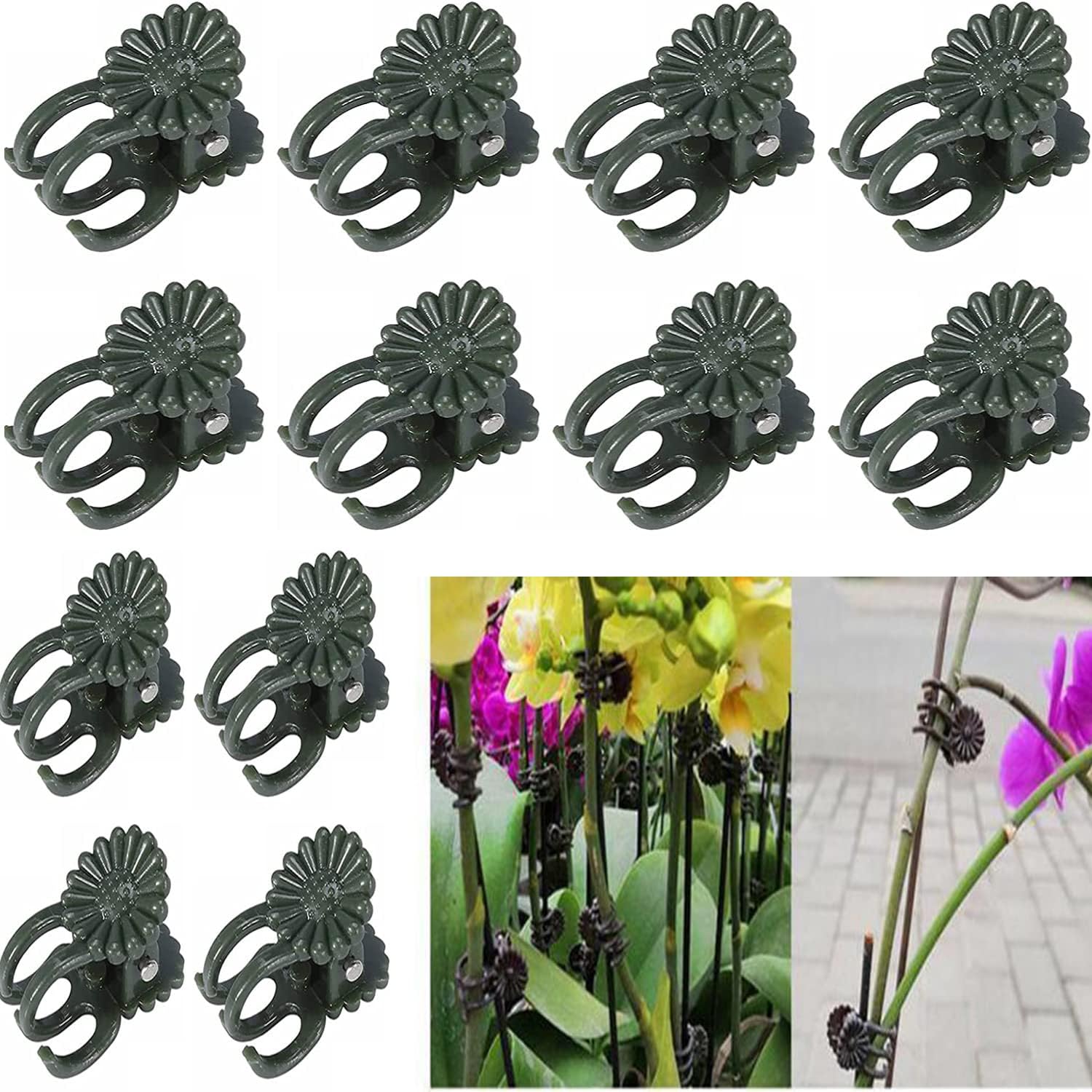 CAVLA Plant Climbing Wall Clips - 100 Pcs Orchid Support for Stems ...