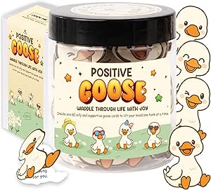 Amazon.com: Positive Goose Jar, 60 Silly Goose Affirmation Cards, Teen ...