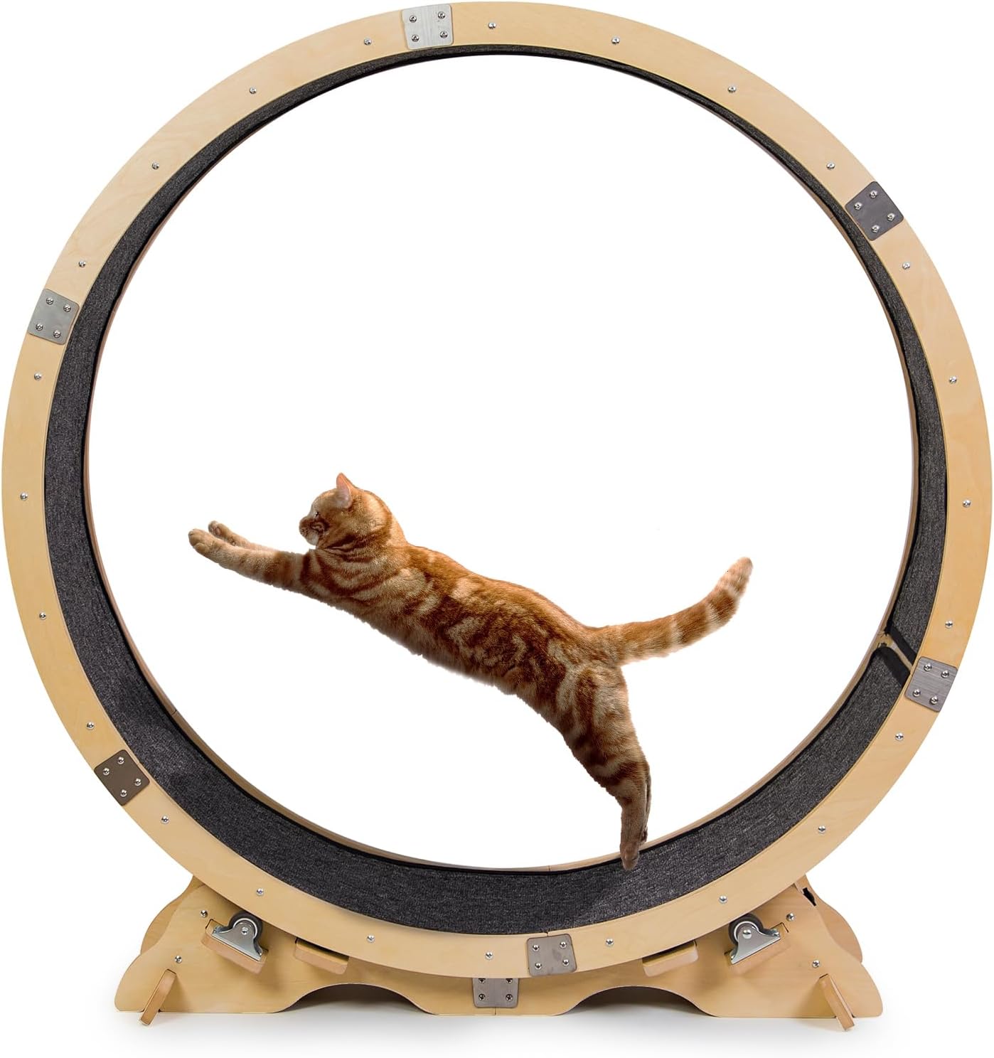 Amazon.com: LOCDION Cat Wheel Exerciser for Indoor Cats,Cat Exercise ...