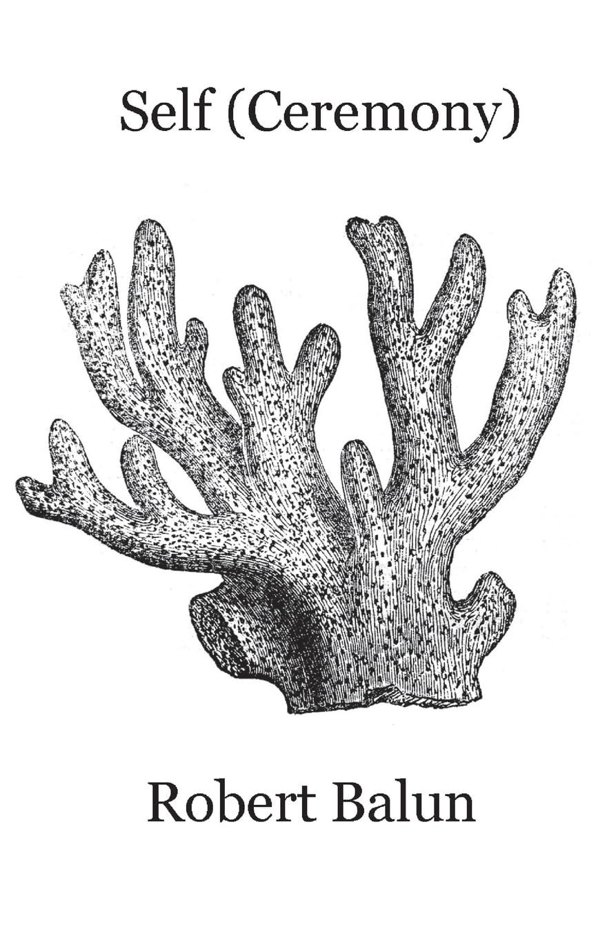 Self (Ceremony): Balun, Robert: 9781944251499: Amazon.com: Books