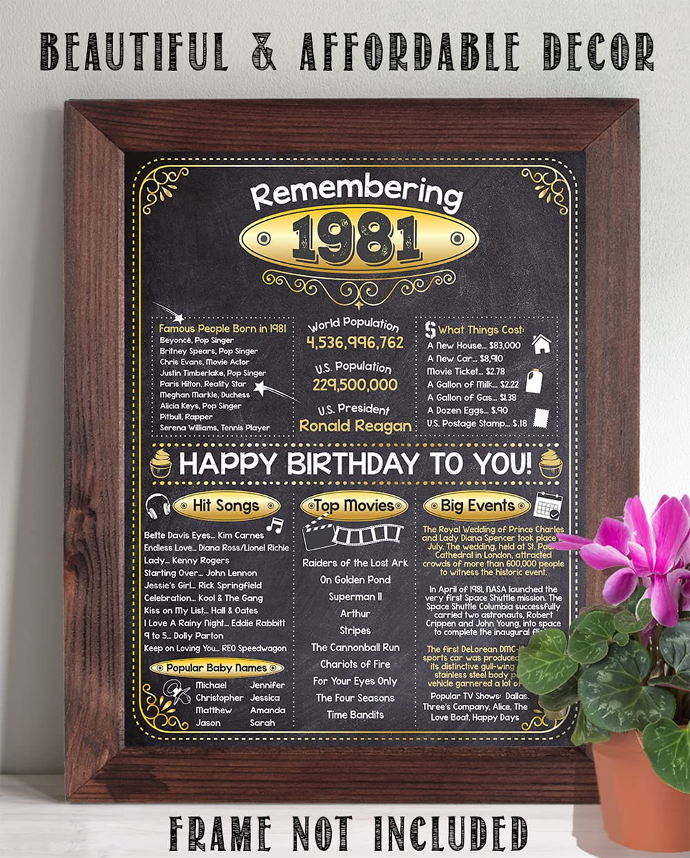Buy 41st Birthday Party Decorations for 41st Birthday (Forty-one ...