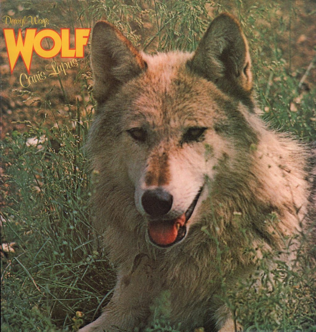 Amazon.com: Darryl Way's Wolf Canis Lupus Original UK Vinyl Lp.: CDs ...