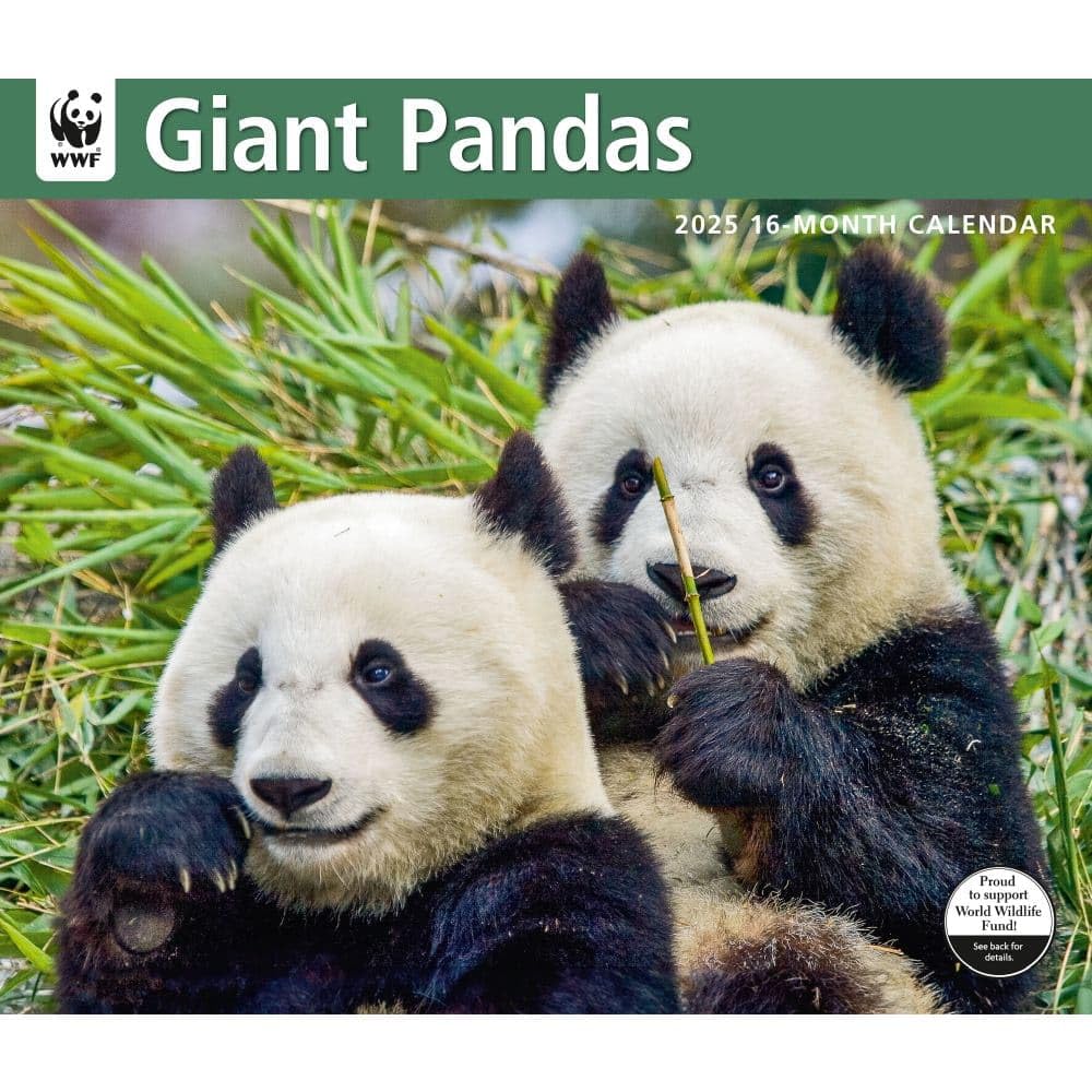 Amazon.com: Calendar Ink, Giant Pandas WWF 2025 Wall Calendar : Office Products