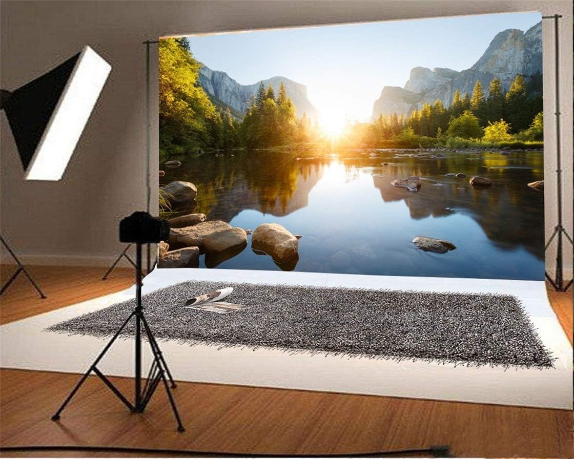 Amazon.com : AOFOTO 12x8ft Nature Mountain Forest Backdrop Valley ...