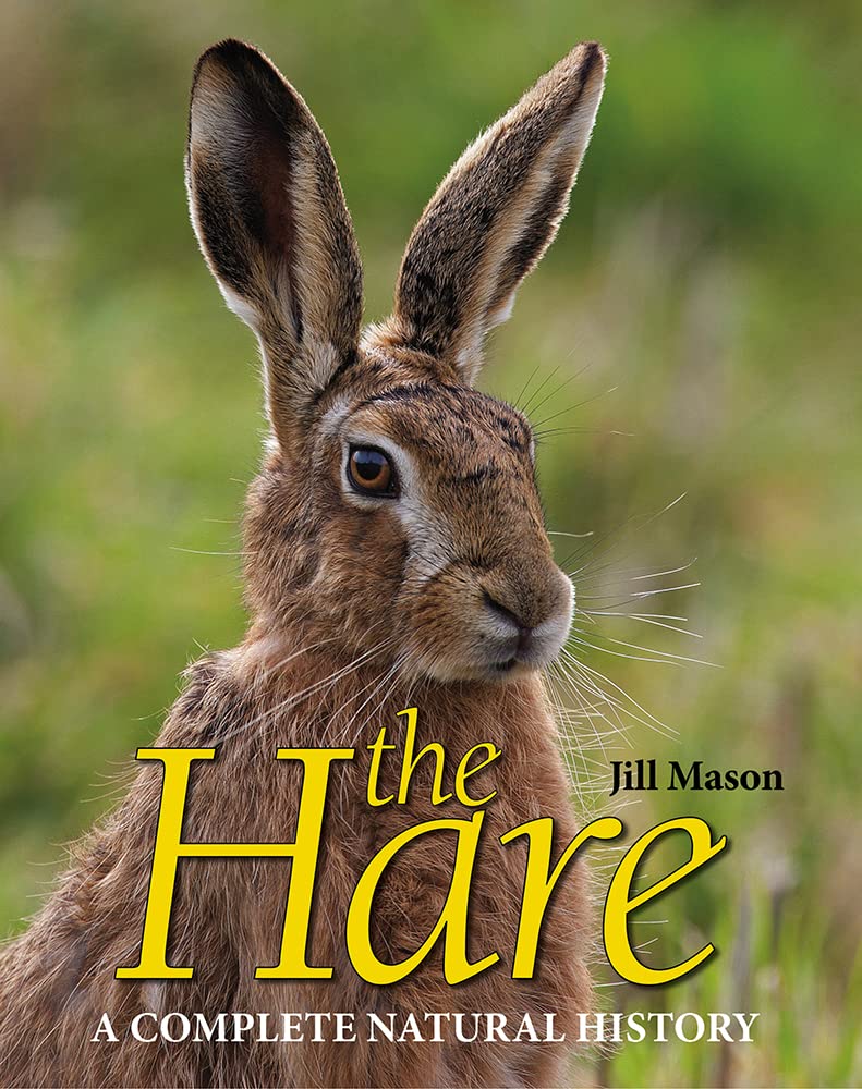 The Hare: Mason, JIll, Mason, David: 9781910723937: Amazon.com: Books