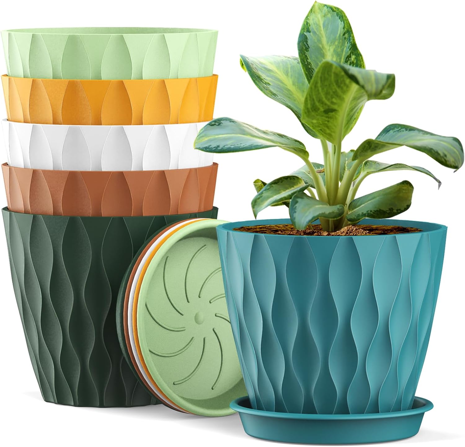 Amazon.com: UOUZ 6 Pack 4 Inch Small Plant Pots with Saucers, 3D ...