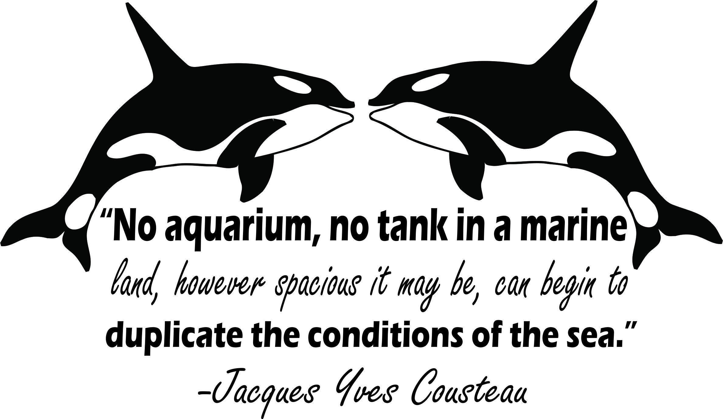 Orcas Quotes Orca Whale Quote Etsy