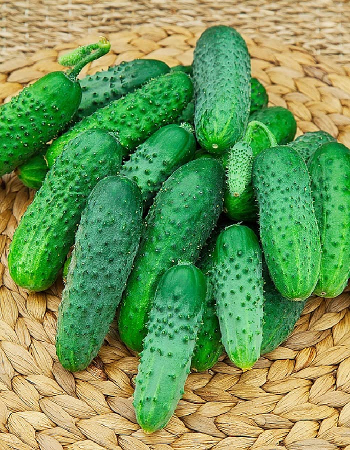 Best Self-Pollinating Vegetable Seeds for a Thriving Garden - Totally ...