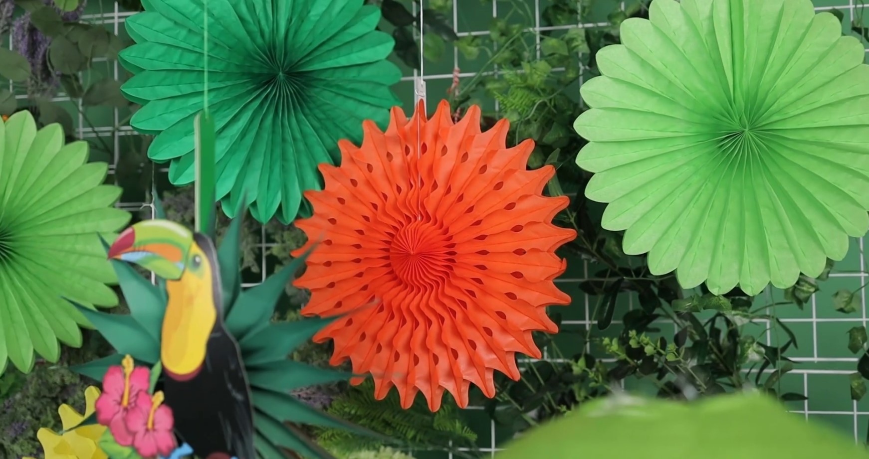 Parrot Theme Decorations