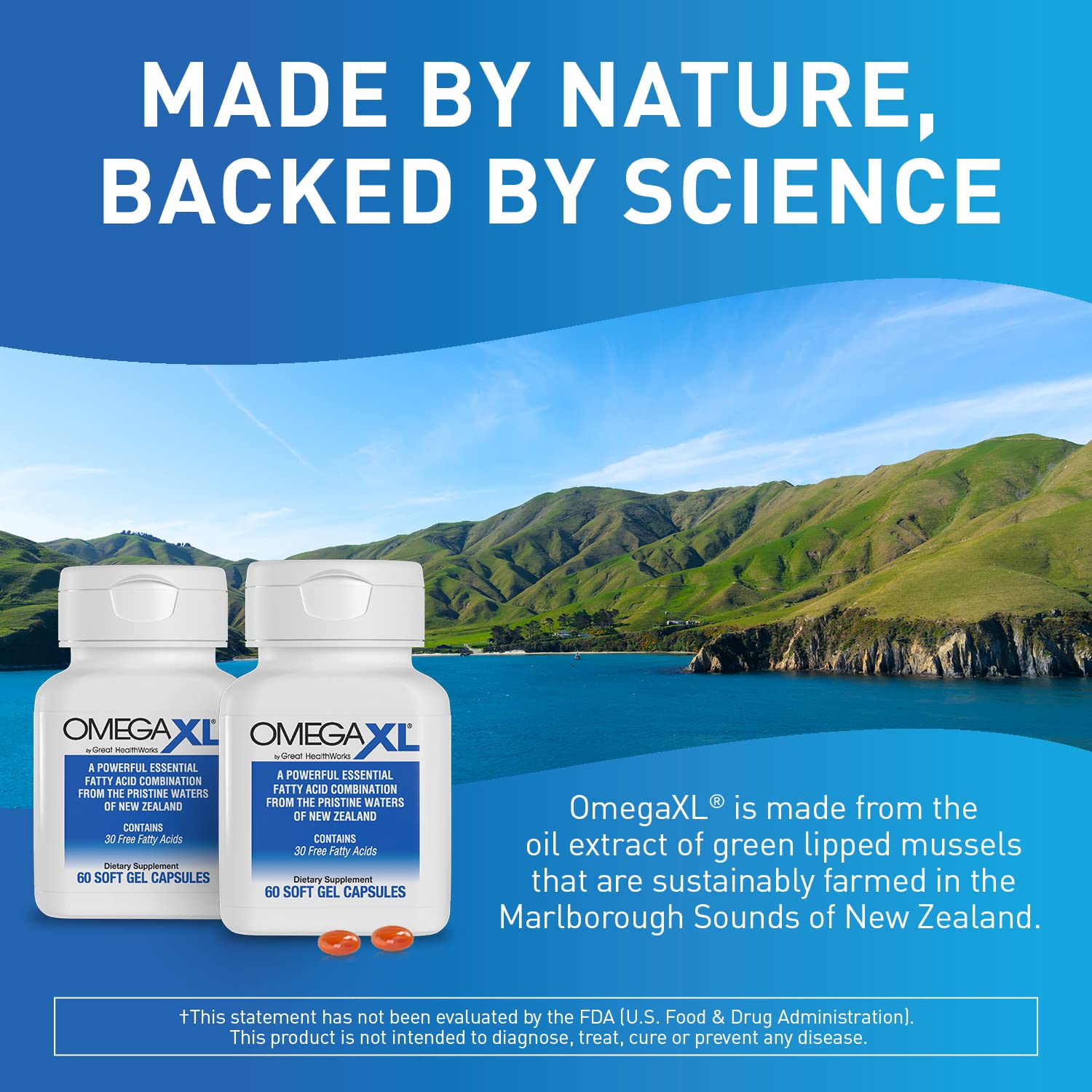 Snapklik.com : OmegaXL Joint Support Supplement - Natural Muscle ...