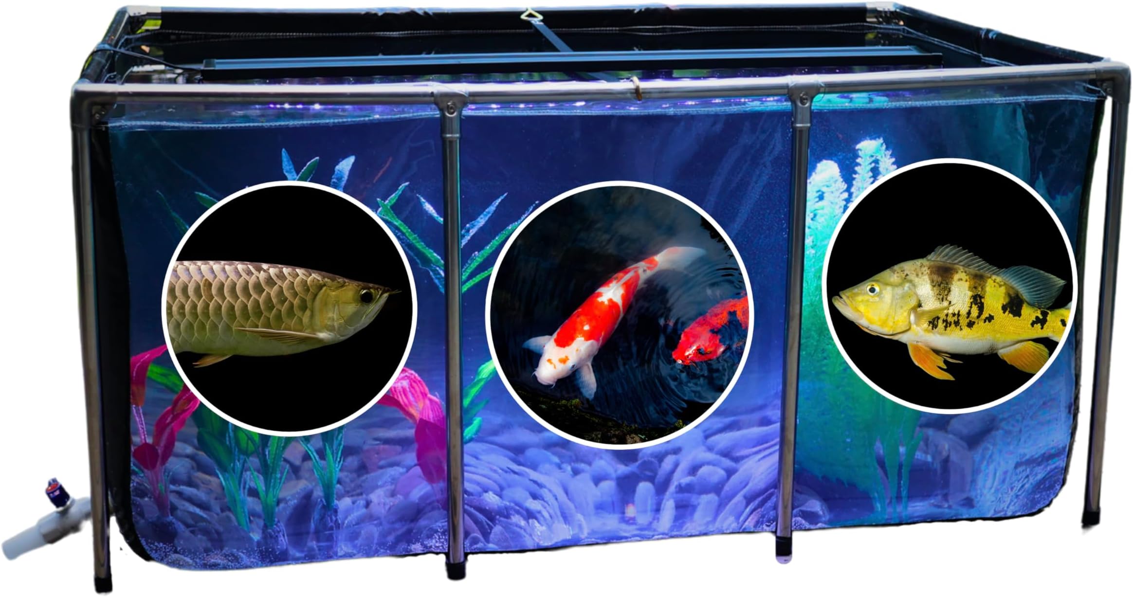 Amazon.com : BOSWELL Aquarium Pool Pond with Transparent Clear Viewing ...