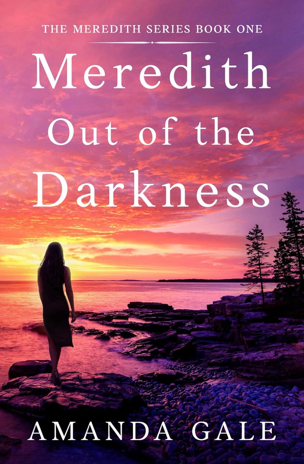 Meredith Out of the Darkness (2nd Edition) (The Meredith Series): Gale ...