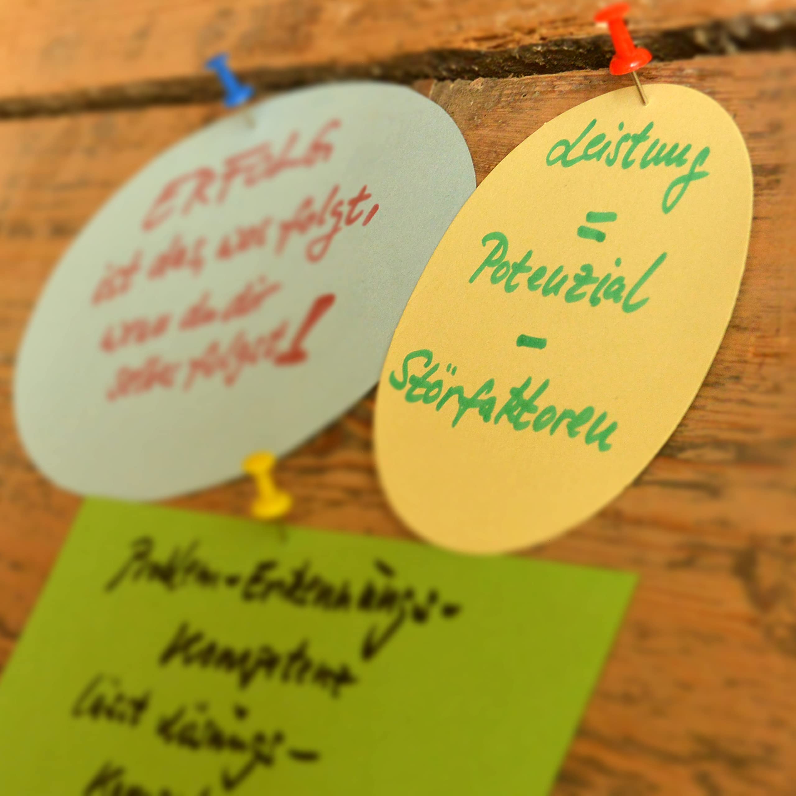 Buy OfficeTree Moderation Cards Round with 10 cm Diameter - 250 pcs ...