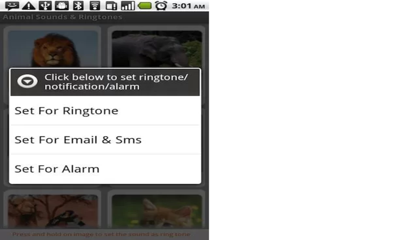 Animal Sounds & Ringtones:Amazon.com:Appstore for Android