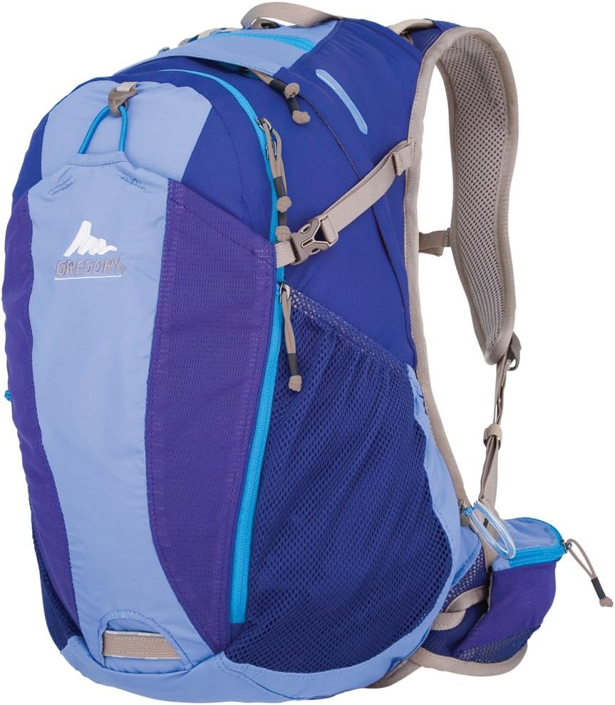 Amazon.com : Gregory Maya 22 Daypack, Ultramarine, One Size : Hiking ...
