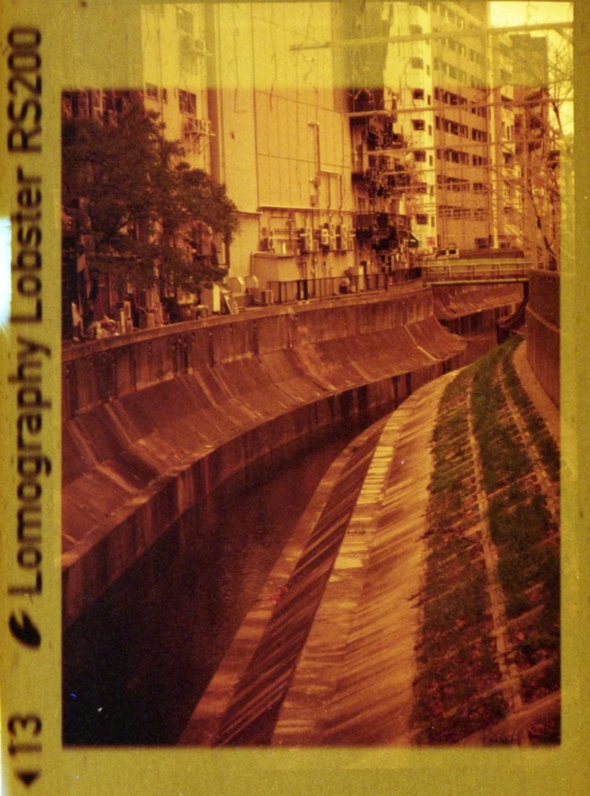 Amazon | Lobster Redscale 110 ISO 200 | Lomography | フィルム