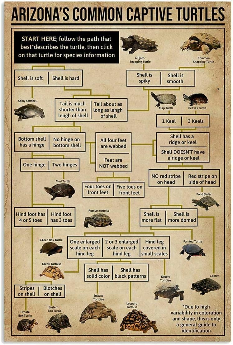 Amazon.com: JIUFOTK Knowledge Metal Tin Sign Arizona's Common Captive ...