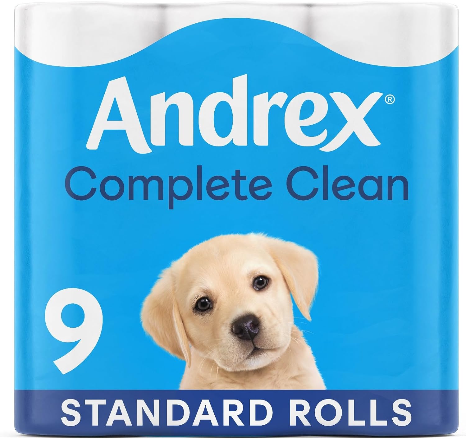 Andrex Classic Clean Toilet Roll (Pack of 9) : Amazon.com.be: Health ...