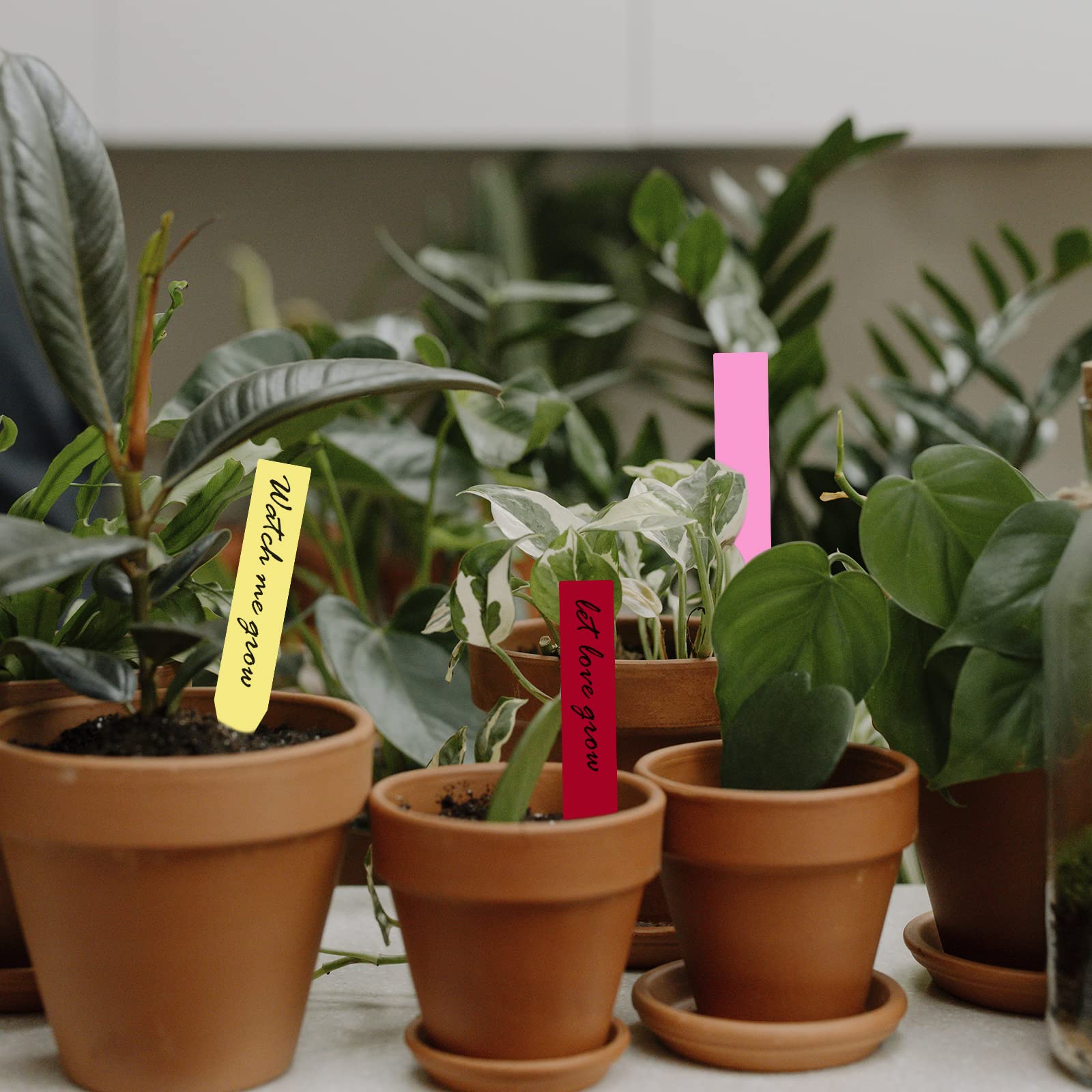 Snapklik.com : 200Pcs 4 Inch Plastic Plant Labels For Seedling ...
