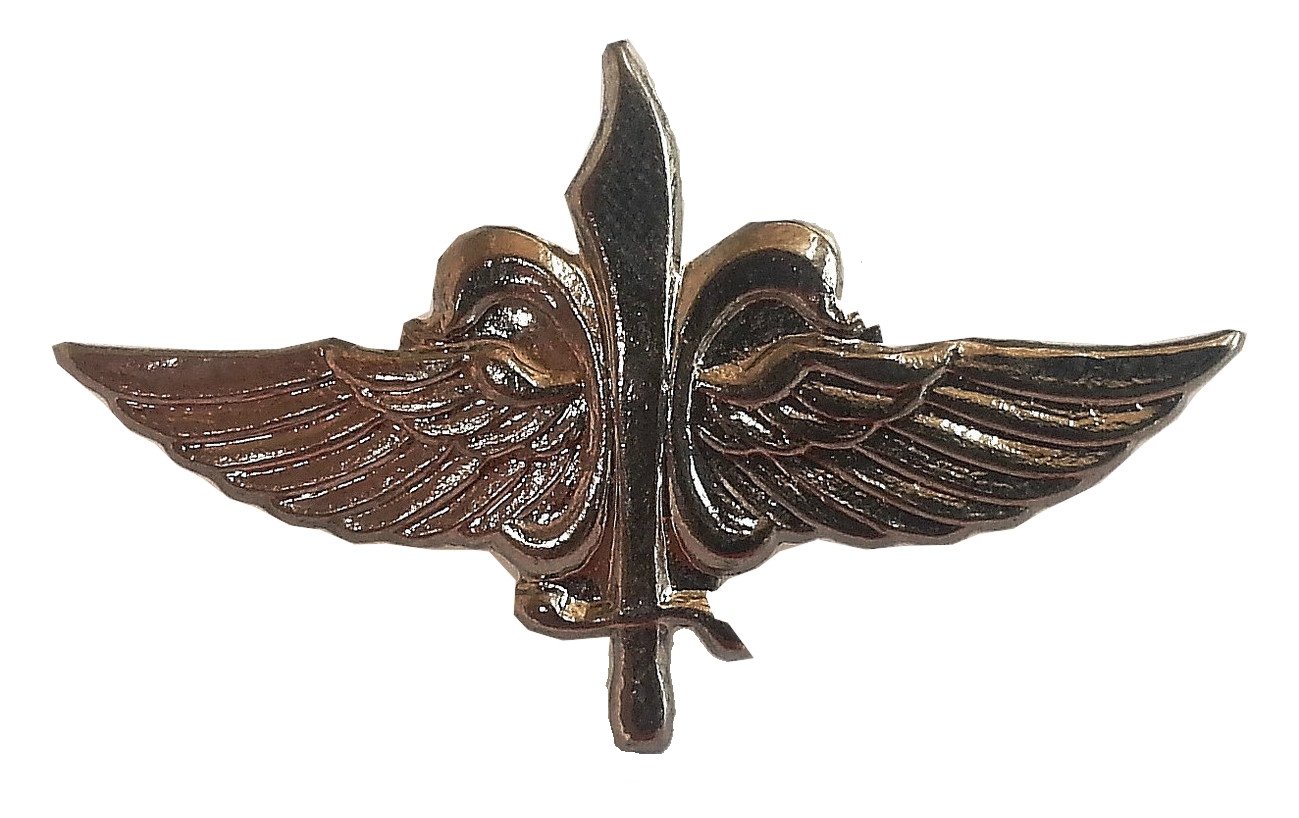 Buy Israel SAYERET MATKAL COMMANDO elite unit BADGE IDF Israeli army ...