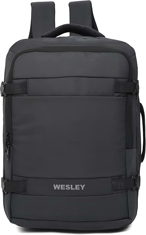 Amazon.in: Wesley - Bags & Backpacks: Bags, Wallets And Luggage