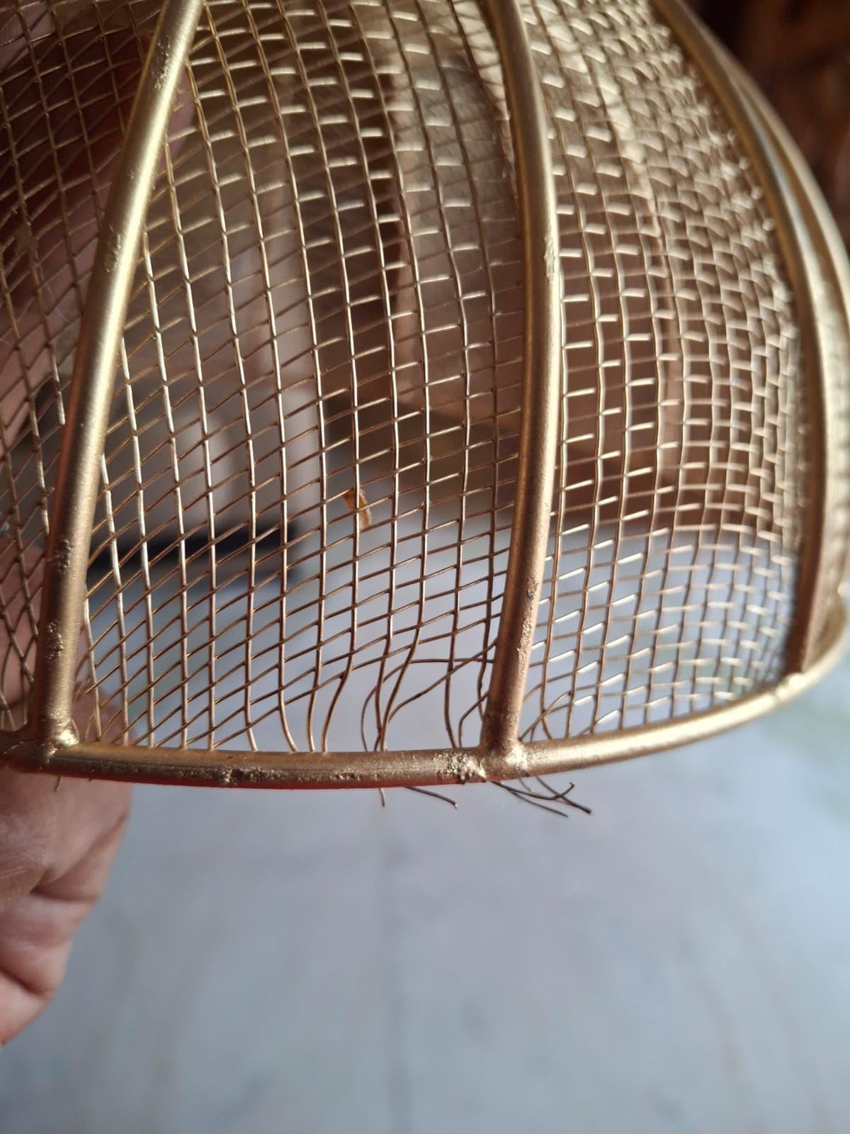 Fruit BulBul Basket with mesh (Jaali) & Lid Countertop Ideal for ...