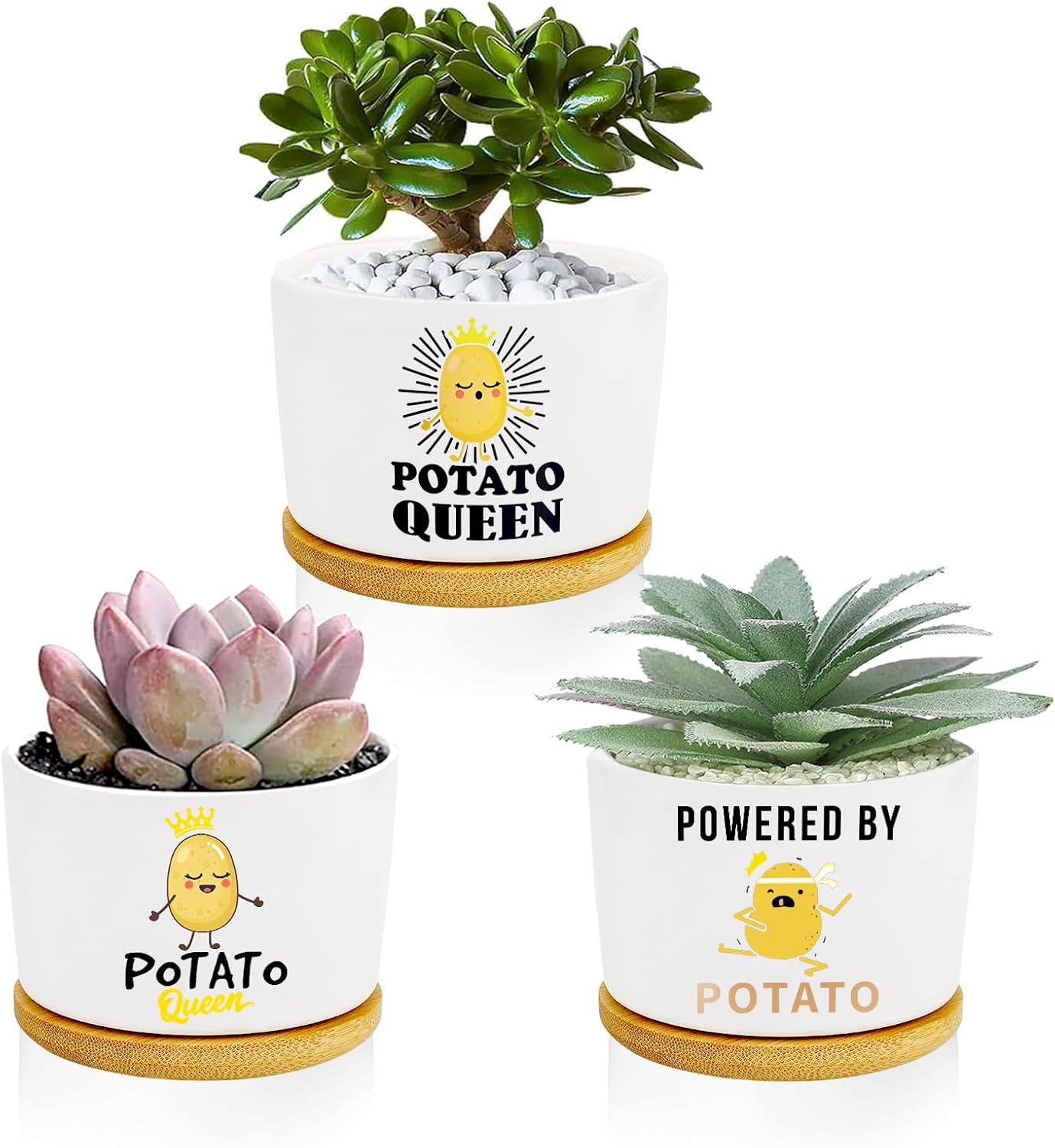 Amazon.com: 3 Pack Succulent Pots,Inspirational Positive Potato Ceramic ...