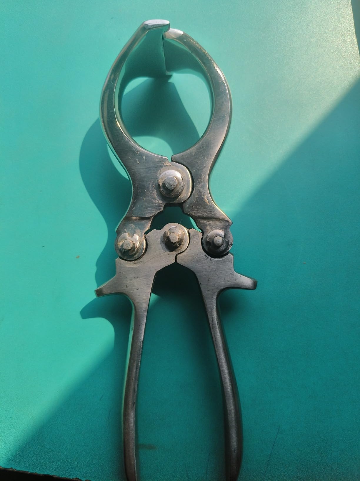 R.s surgical Burdizzo Castrator Sizes 9" Veterinary instruments ...