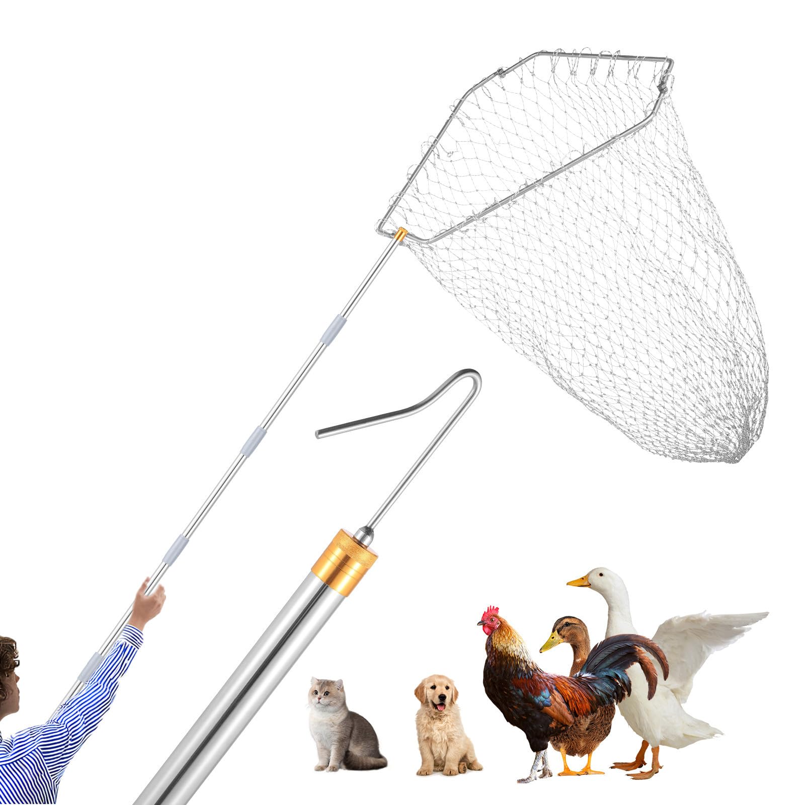 Amazon.com : Chicken Catching Net,30 to 75 inches Adjustable Pole ...