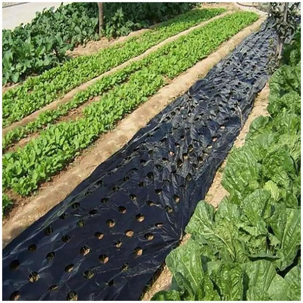 Amazon.com: CHALKE Griculture Mulch, 1PC Pre-Punched Hole Plastic Film ...