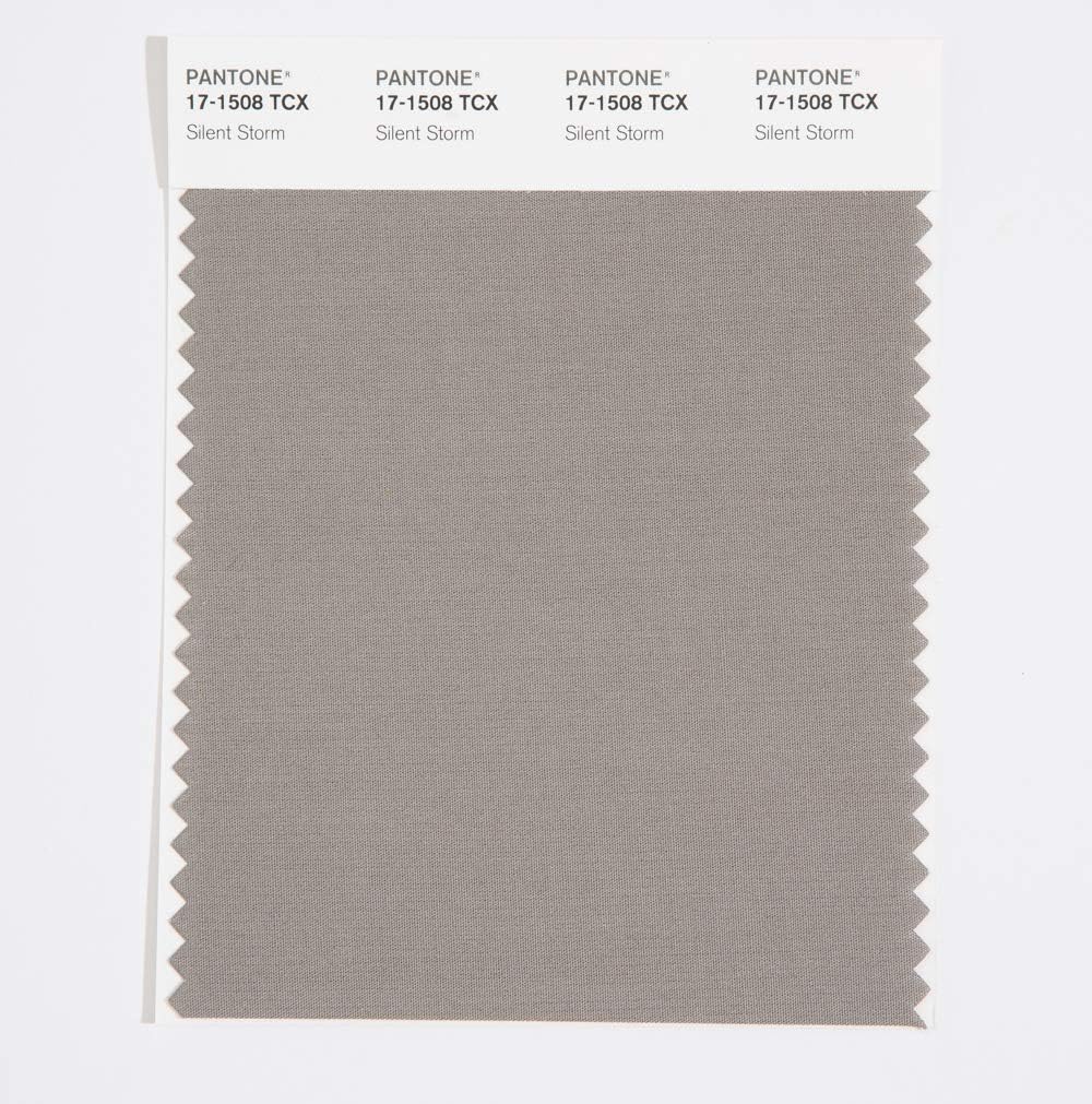 Amazon.com: Pantone Cotton Swatch Card Color Standard, Color # 17-1508 ...