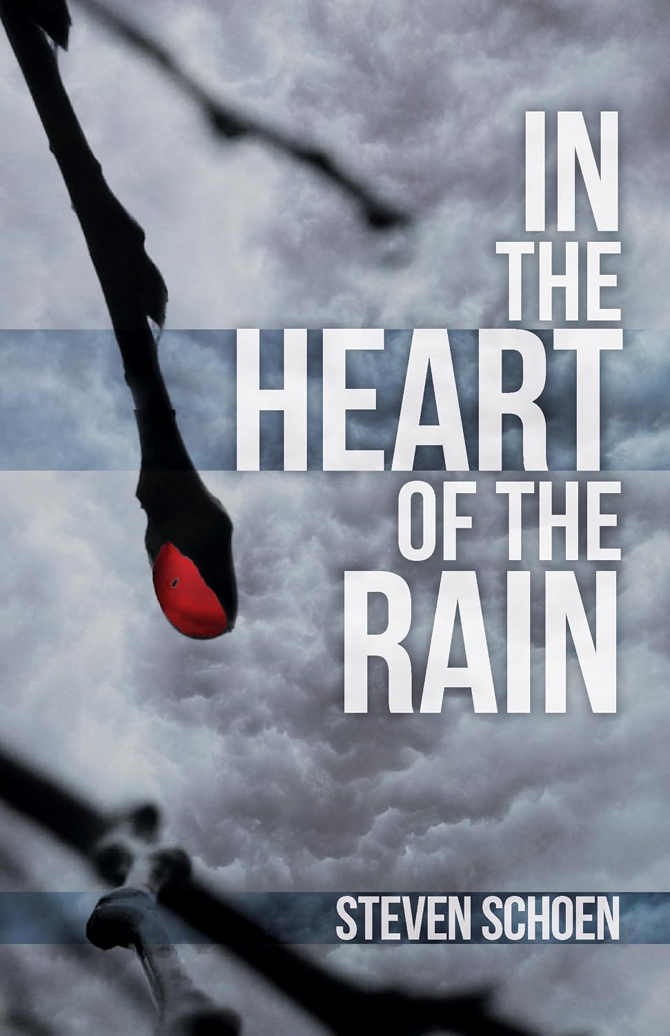 Amazon.com: In the Heart of the Rain eBook : Schoen, Steven: Books