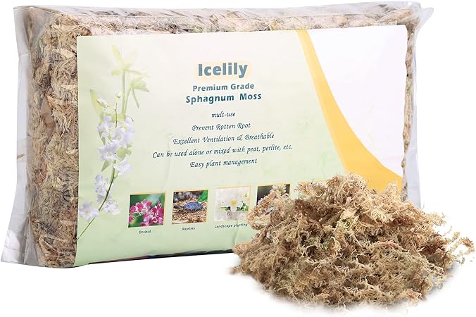Amazon.com : Icelily Sphagnum Moss for Plants, Natural Premium Sphagnum ...