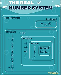 Amazon.com: The Real Number System Math Poster - Informational Math ...