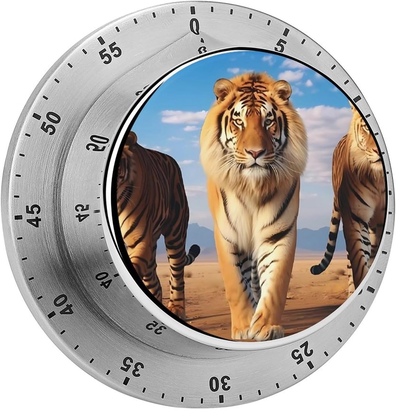Amazon.com: Three Tigers 60 Minute Wind Up Timer Clock Digital Visual ...