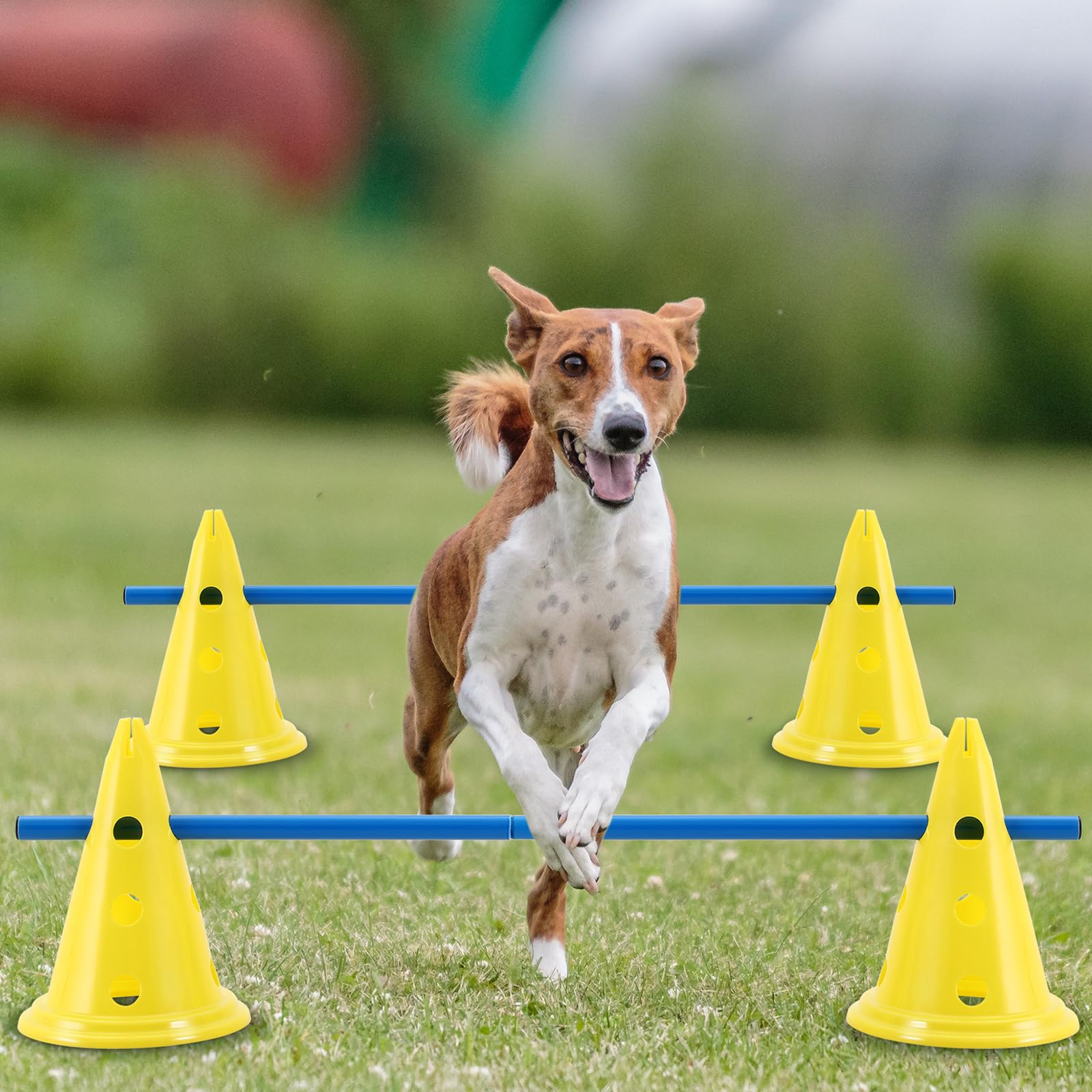 6 Sets Dog Agility Hurdle Cone Set Include 12 Agility Cones 6 Agility ...