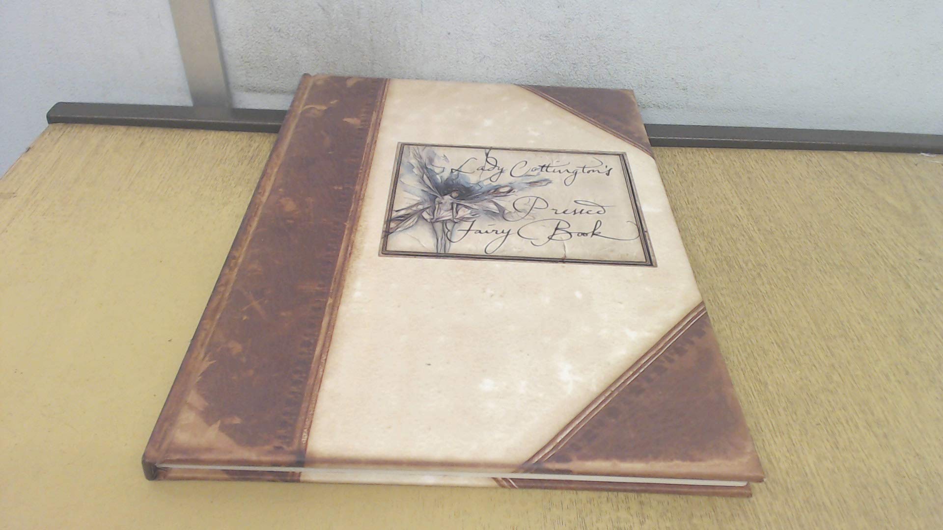 Lady Cottington's Pressed Fairy Book: Jones, Terry, Froud, Brian ...