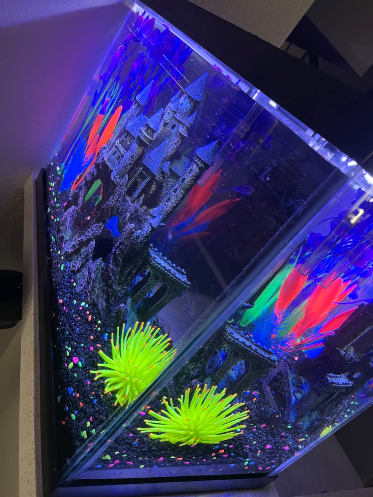 $38/mo - Finance GloFish 20 Gallon Aquarium Kit with LED Lights, Decor ...