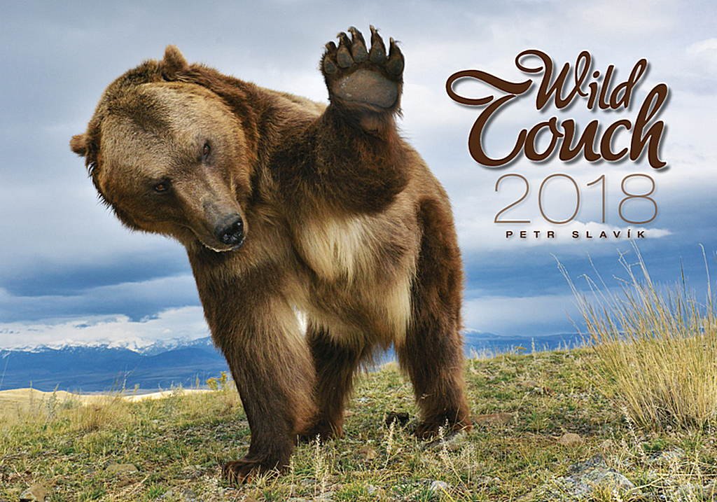 Wildlife Calendar - 2018 Calendar - Calendars 2017 - Photo Calendar ...