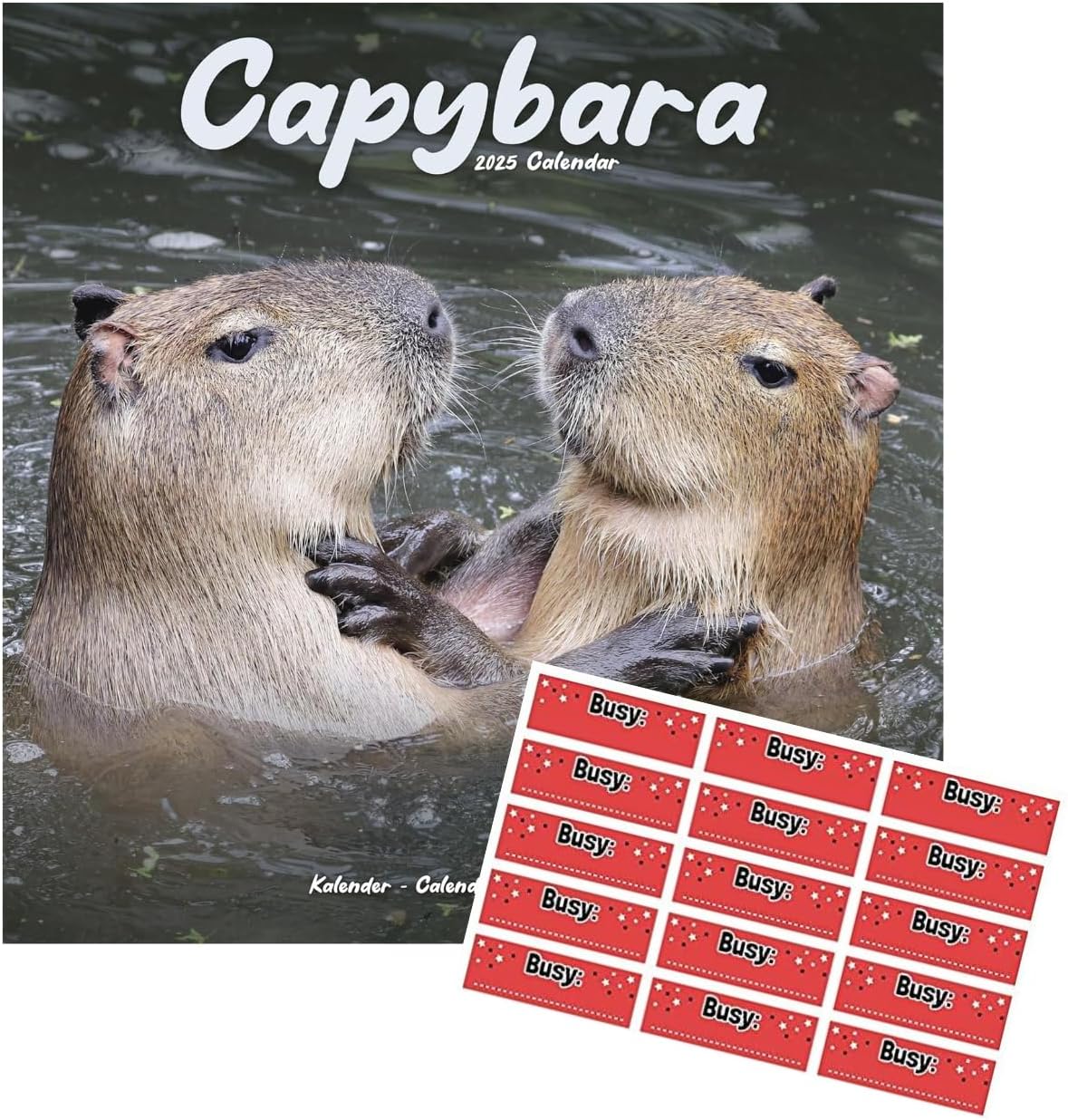Capybara Calendar 2025 with Organisational Sticker | 16 month calendar ...