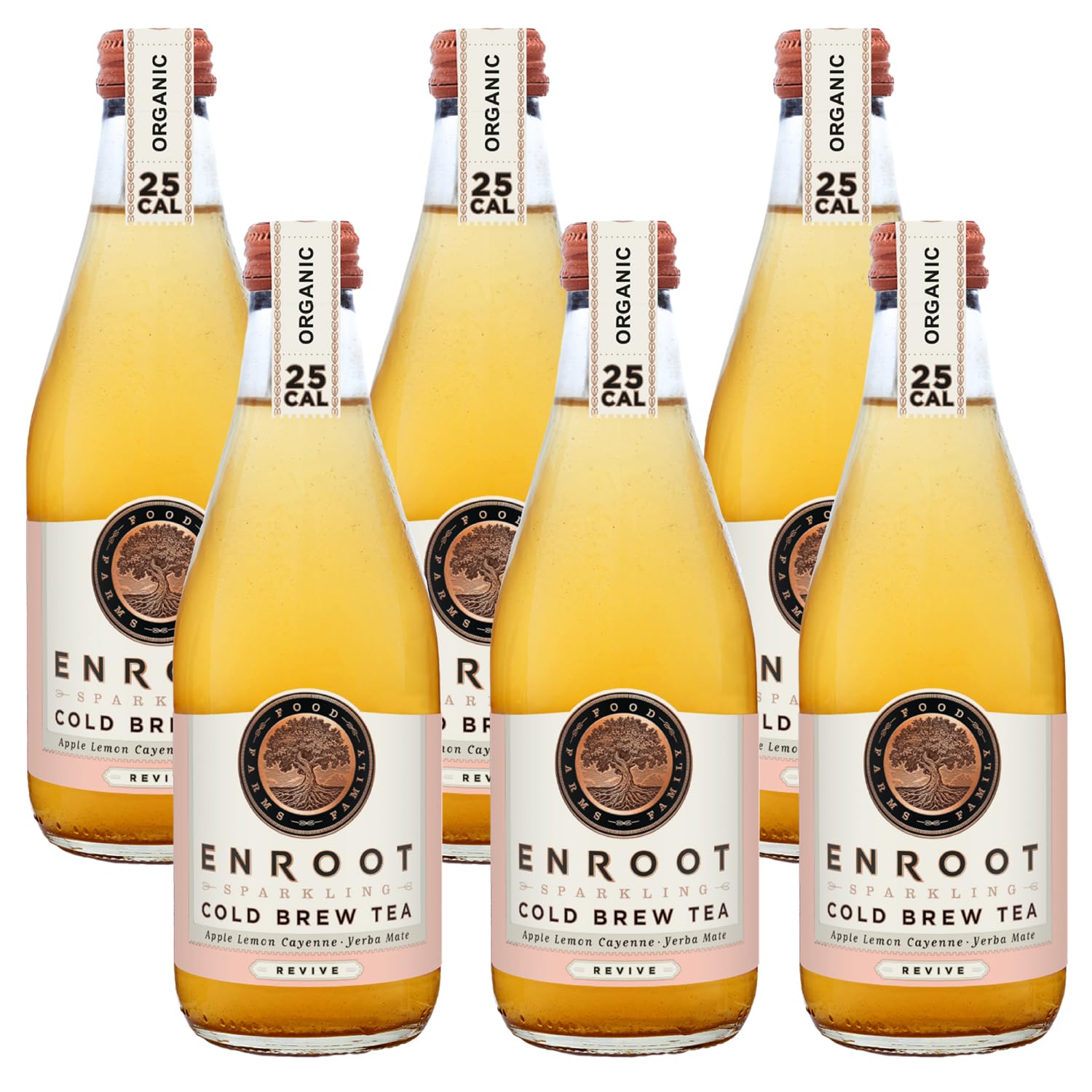 Buy Enroot - Sparkling Cold Brew Tea - 25 Calories - 0 Added Sugar ...