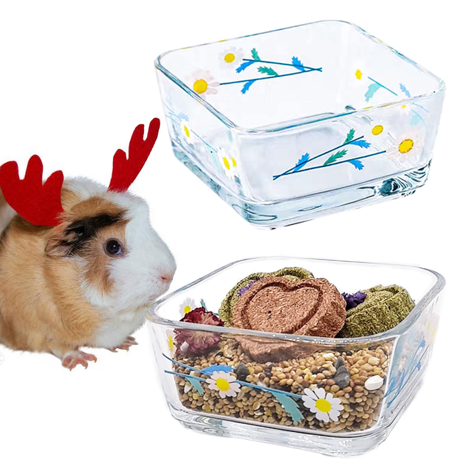 Amazon.com : Acsist 2 Pack Hamster Food Bowl, Glass Guinea Pig Water ...