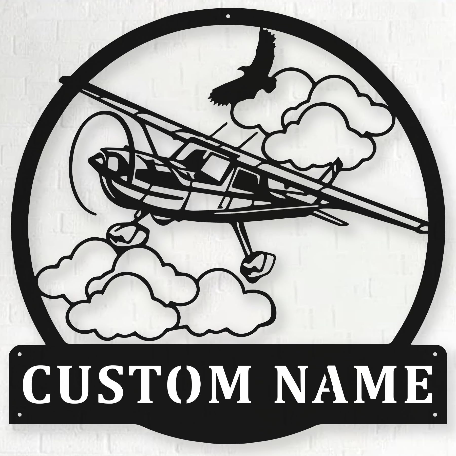 Amazon.com: Custom Airplane Metal Wall Art Airplane Metal Sign ...