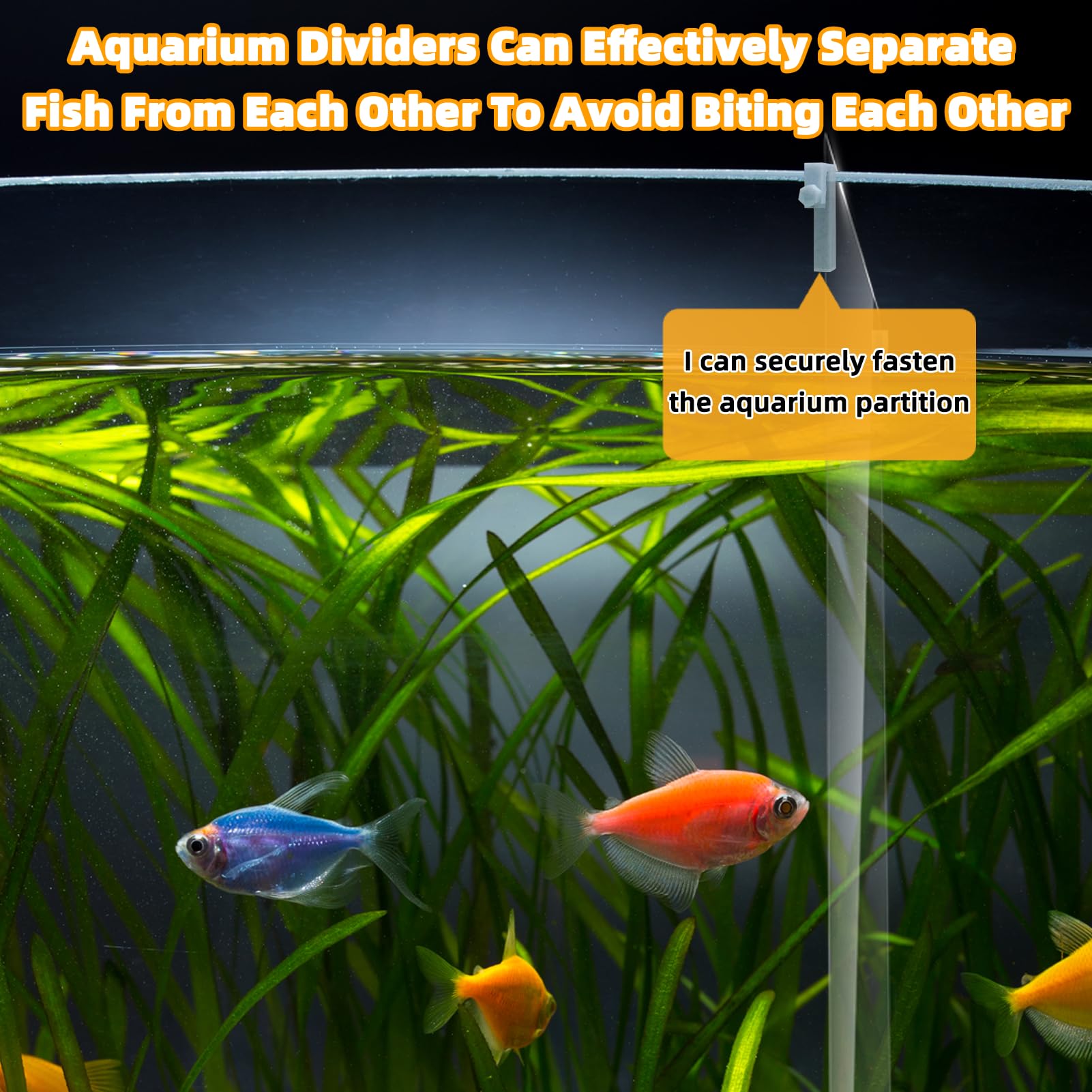 Snapklik.com : 10Pcs Aquarium Divider Retainer, Reliable Fixed Aquarium ...