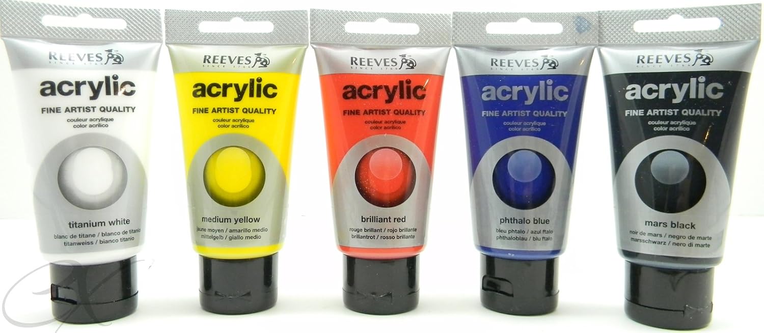 Amazon.com: Acrylic Paint Color (Set of 5)