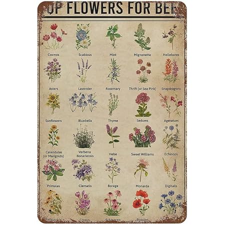 Amazon.com : jiuerocs Vintage Types Of Bee Tin Sign Retro Bee Knowledge ...