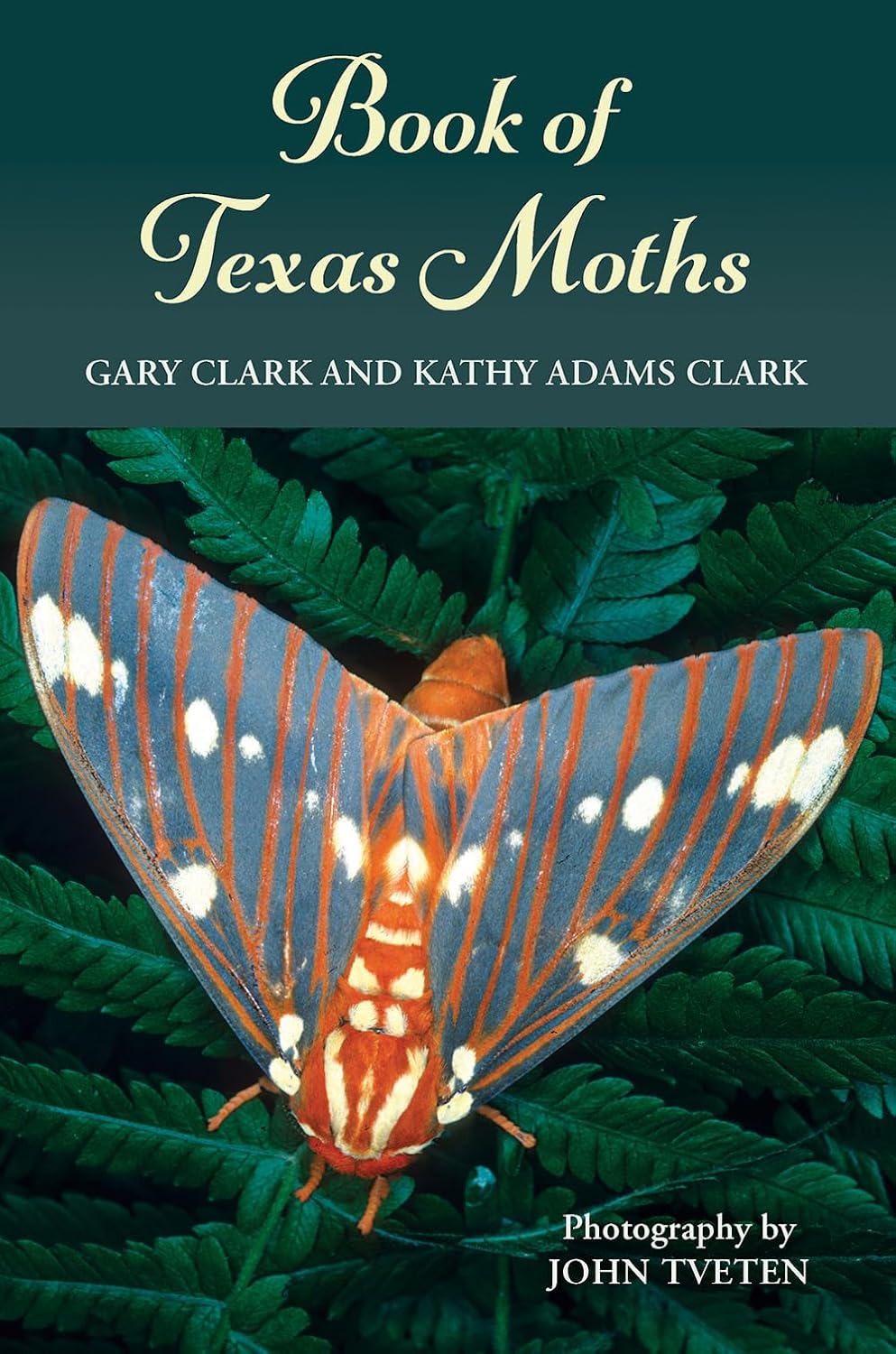Book of Texas Moths (Gideon Lincecum Nature and Environment Series ...