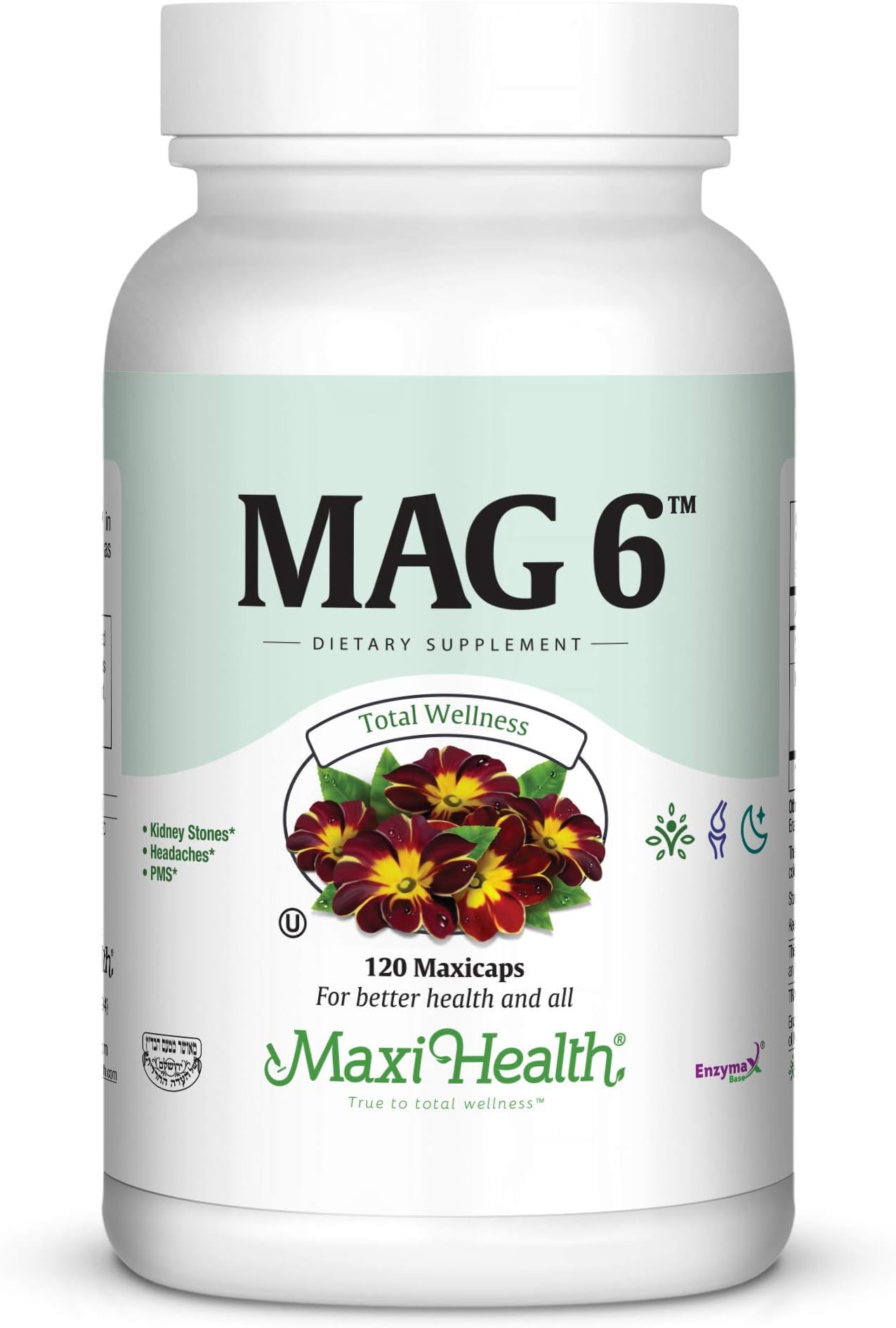 Amazon.com: Sanofi Magne B6 Magnesium and Pyridoxine Coated Tablets, 60 ...