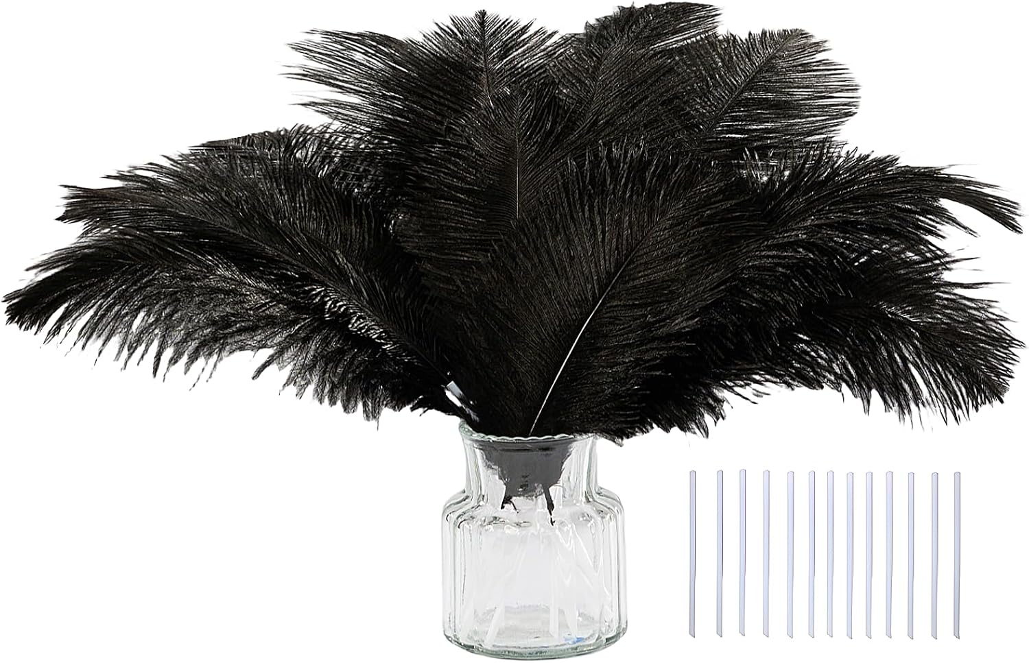 Amazon.com: XJMWXHSF 35pcs Natural Black Ostrich Feathers Total Length ...